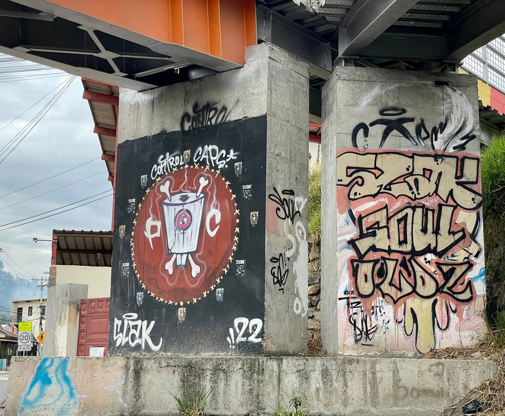 Control Caps by Slak - Street Art Cities