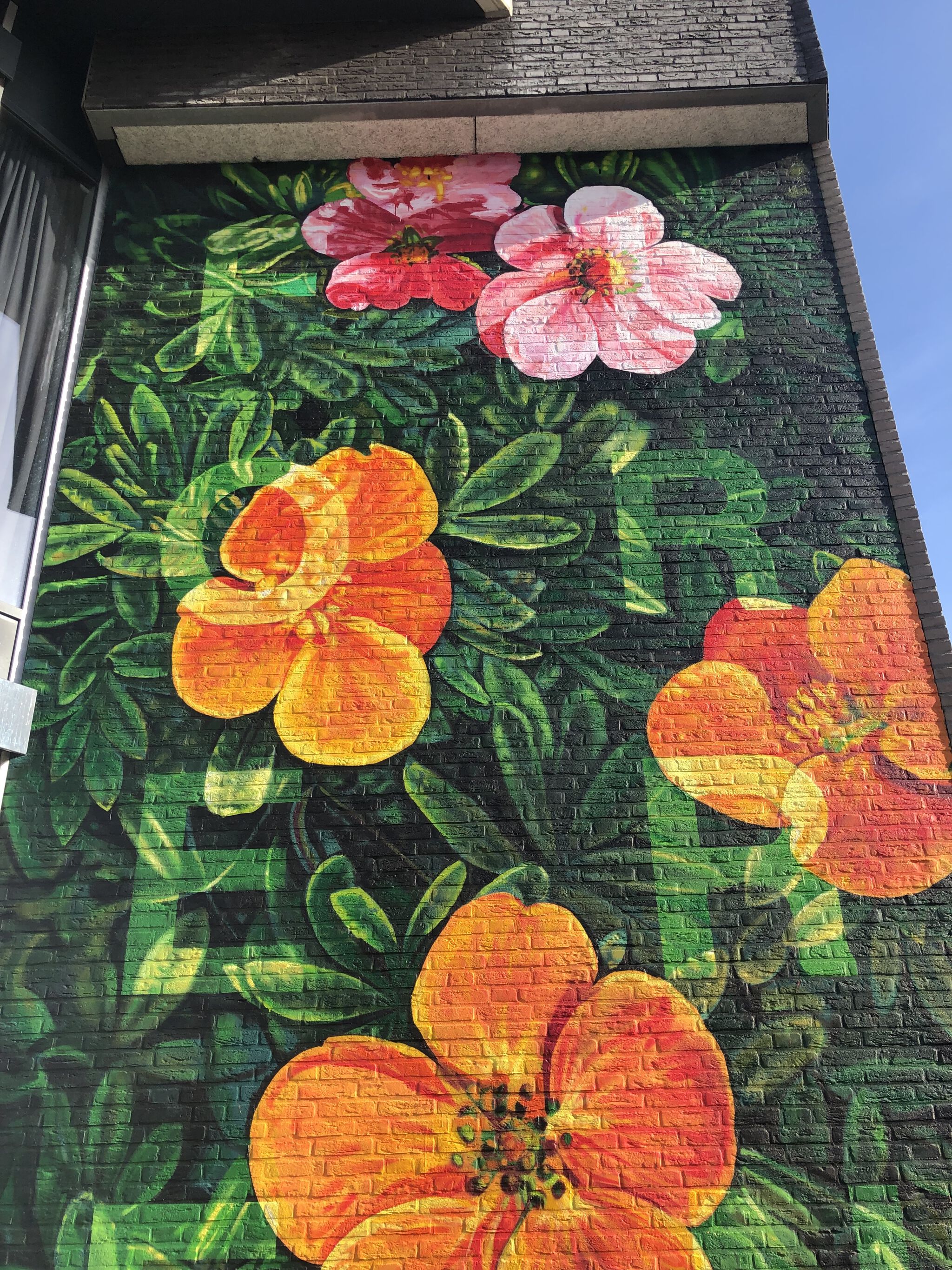 Untitled by Gaia - Street Art Cities