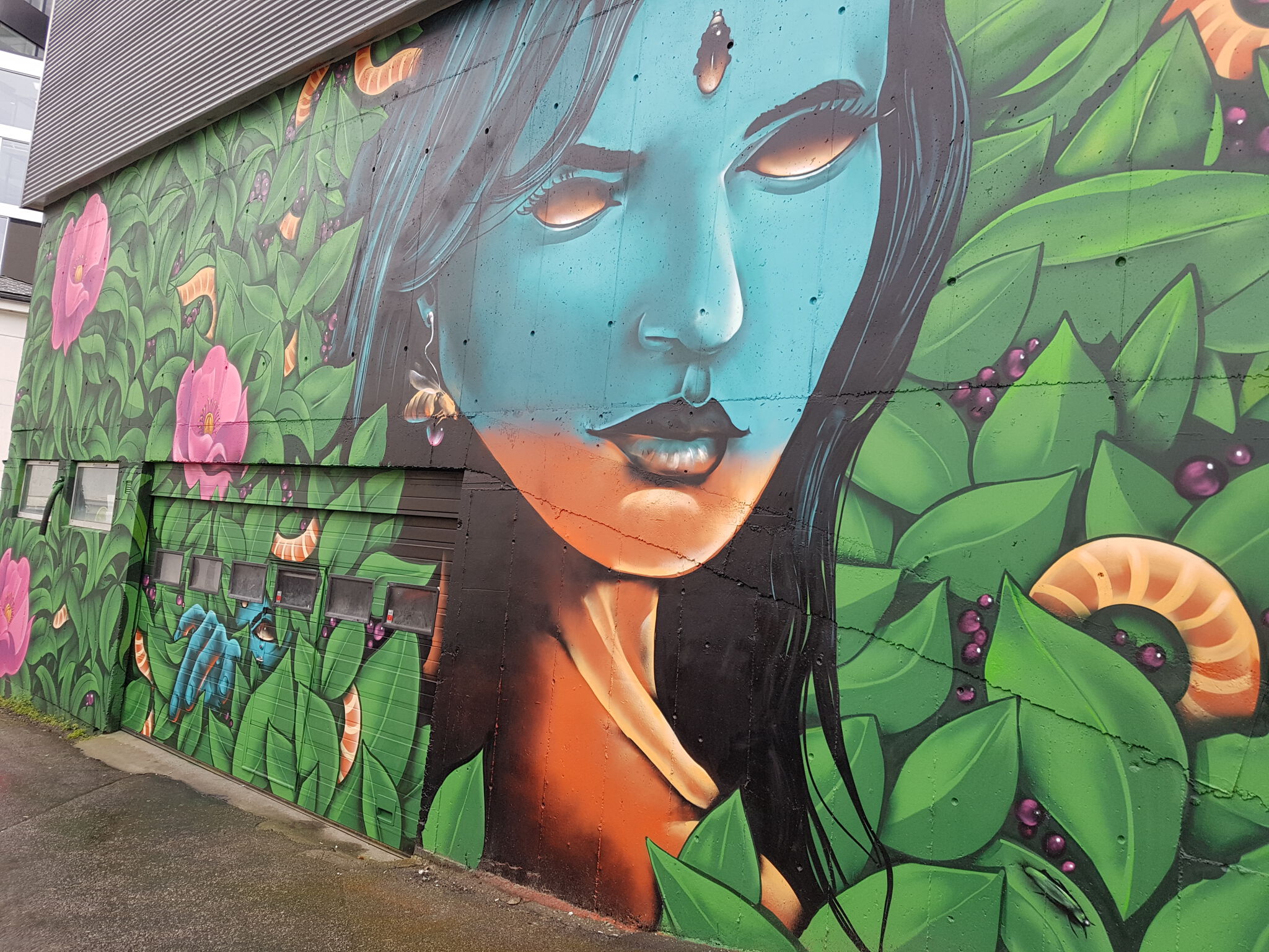 Wild by Nature by Dake, Bares - Street Art Cities