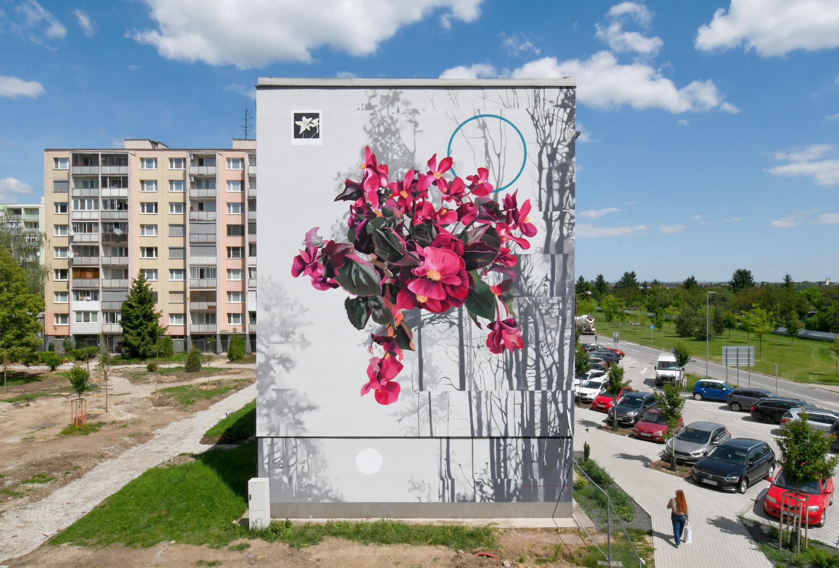 CYANIDIN & BEGONIA SEMPERFLORENS by Fabio Petani - Street Art Cities